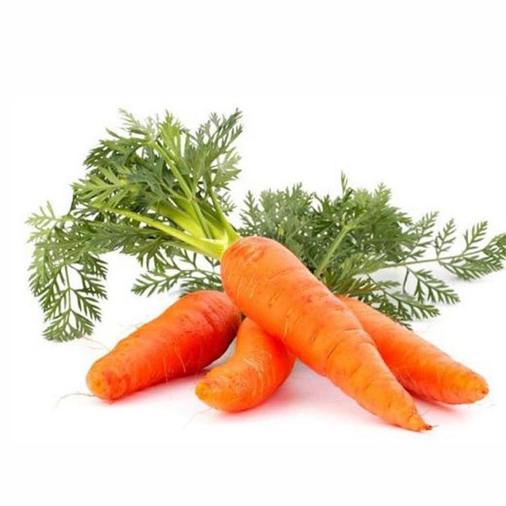 Carrot Seeds 0.1 gm Intact Packet | Daraz.com.bd