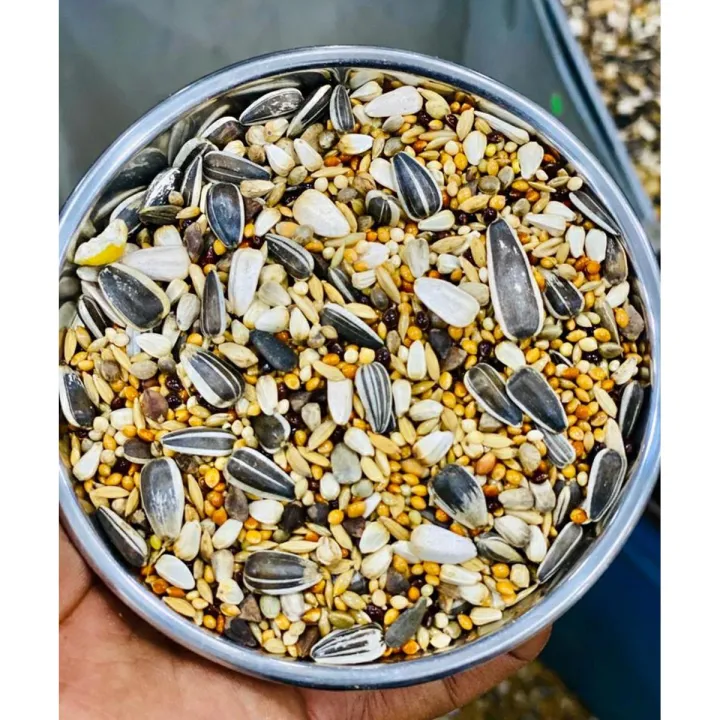 BIG PARAKEET (LOVE BIRD& COCATIAL) MIX 1KG | Daraz.com.bd