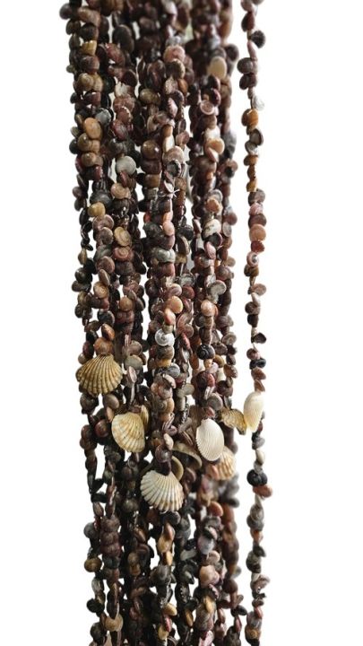 Large Long Snail shell Designer Wall or Door decorationPartition Ropes ...