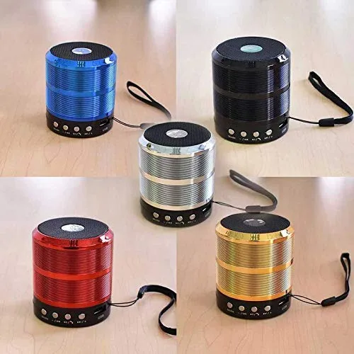 Mini Bluetooth Speaker WS-887 with FM Radio | Daraz.com.bd