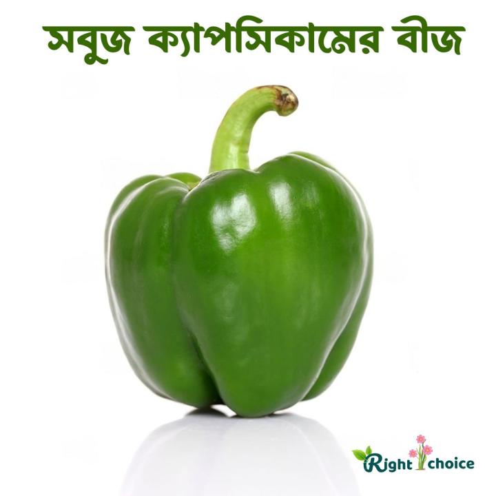 Green Color Hybrid Capsicum 25 pice + gift | Daraz.com.bd