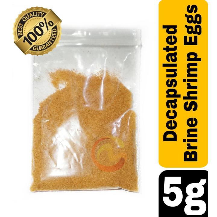 Decapsulated Brine Shrimp Eggs ( Artemia) fish food best for baby fish ...