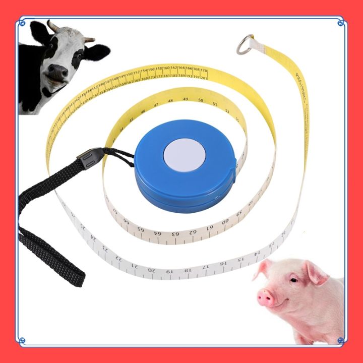 VibeVendor 2.5m Retractable Measuring Tape Body Weight Tape Measure for ...