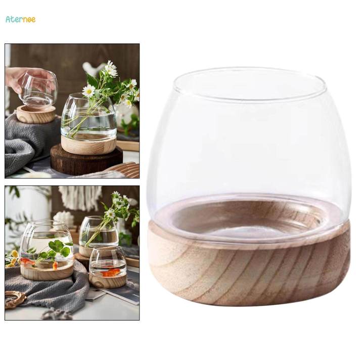 Glass Planter Plant Propagating Jar Desktop Planter for Home Indoor ...