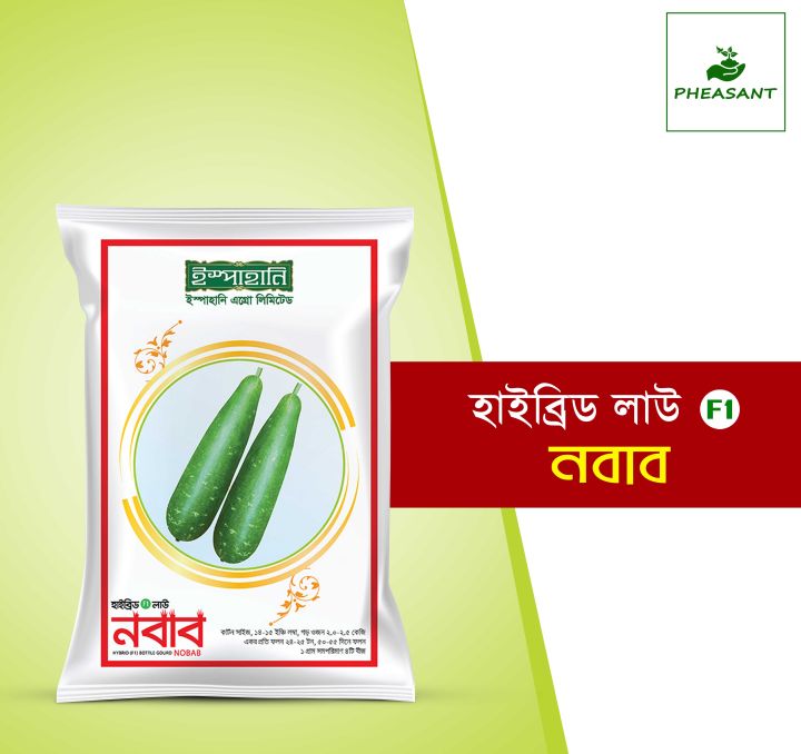 Hybrid (F1) Bottle Gourd (লাউ) Seed Nobab (Mini Intact Packet) | Daraz ...