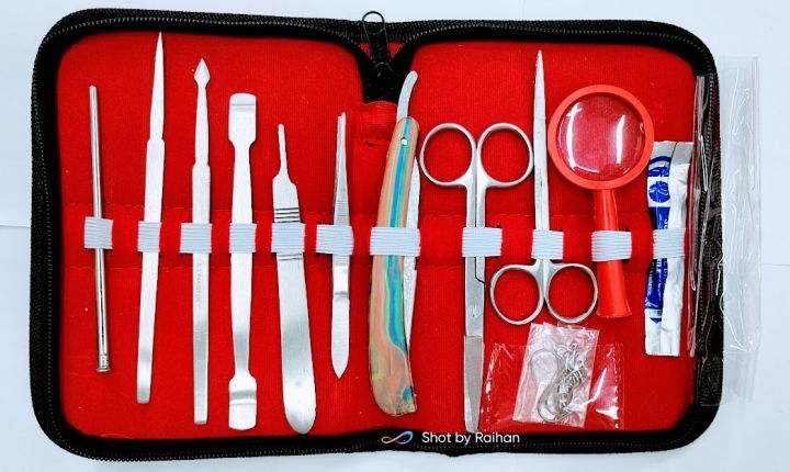 Dissection Biology Box for Medical Students Anatomy Laboratory Use ...