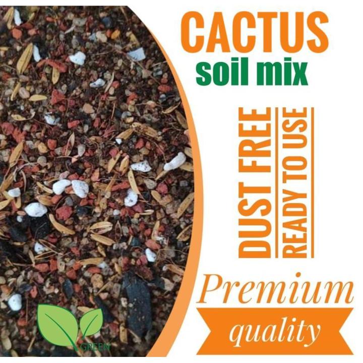 Cactus soil mix 01 kg Premium Quality Dust Free | Daraz.com.bd