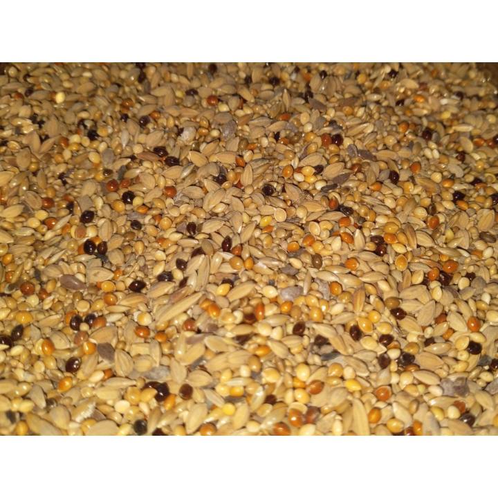 Finches Mix Birds Food -1kg | Daraz.com.bd