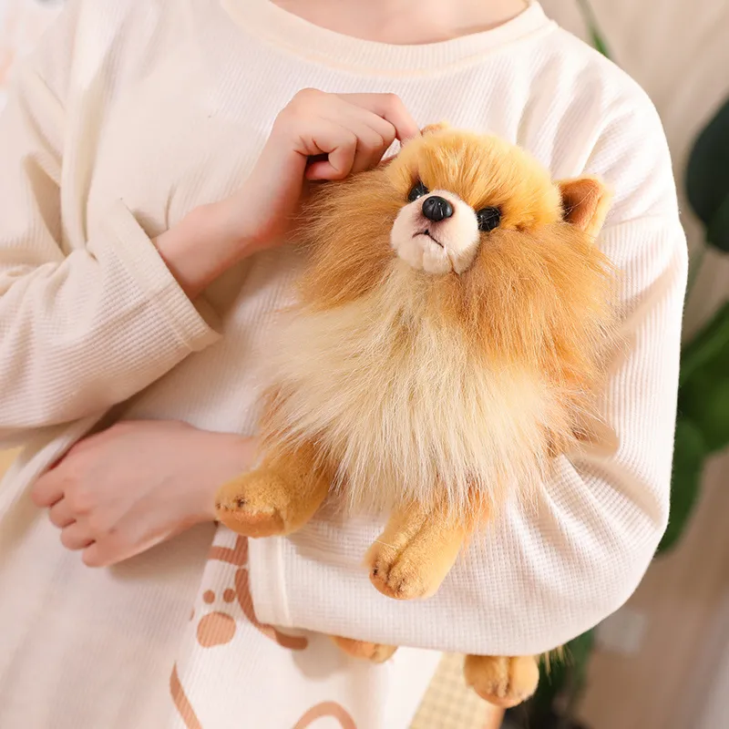 Plush pomeranian store