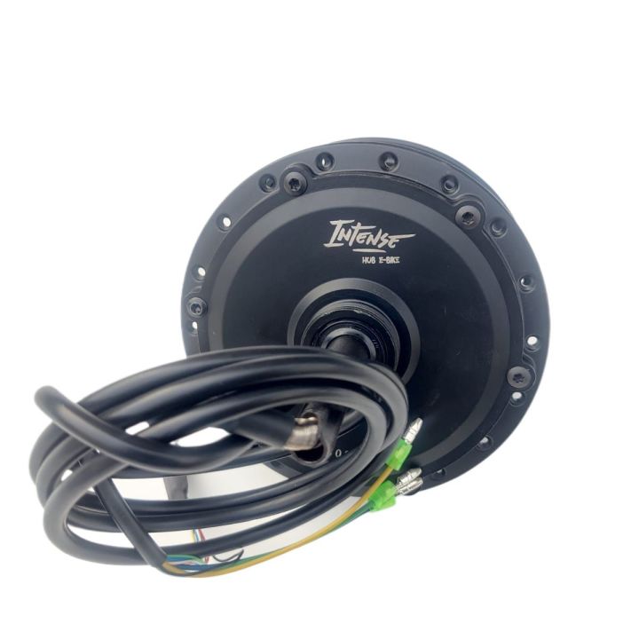 Electric Cycle Conversion Hub Motor 36/48V 350W – Geared Hub Motor by ...