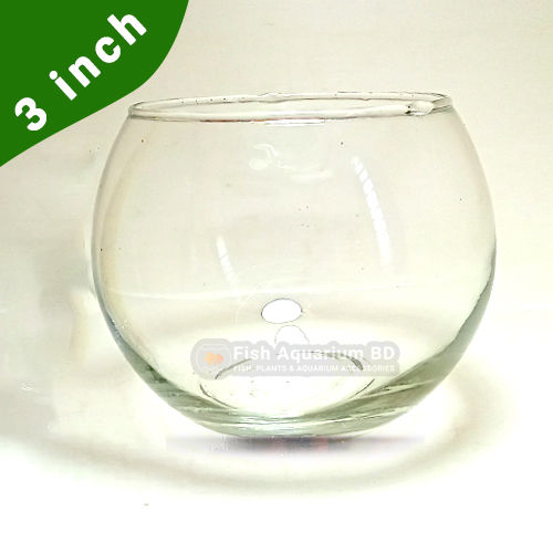 Transparent Fish Glass Bowl 3 inch Fish jar Fighter Fish Jar | Daraz.com.bd
