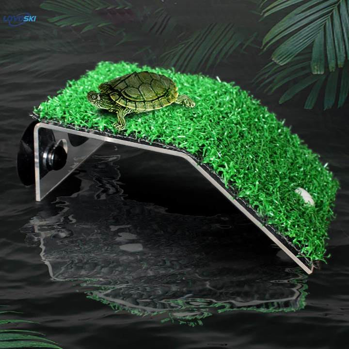 Turtle Basking Platform, Turtle Dock Floating Platform Aquarium Moss ...