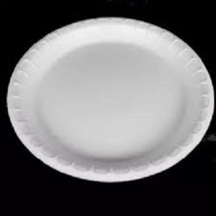 20 pcs Disposable Plastic Plate 9.5 inch One Time Use Plat Ideal for ...