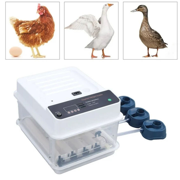 30 Egg Incubator High Hatching rate AC/DC double power egg incubator ...