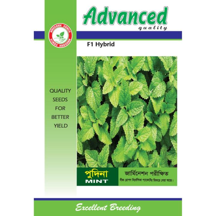 MINT SEEDS (EDIBLE MINT), INTACT PACKET - 50 SEEDS | Daraz.com.bd