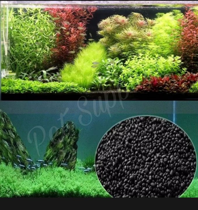 Complete Freshwater Planted Aquarium Substrate Soil 3 Liter | Daraz.com.bd