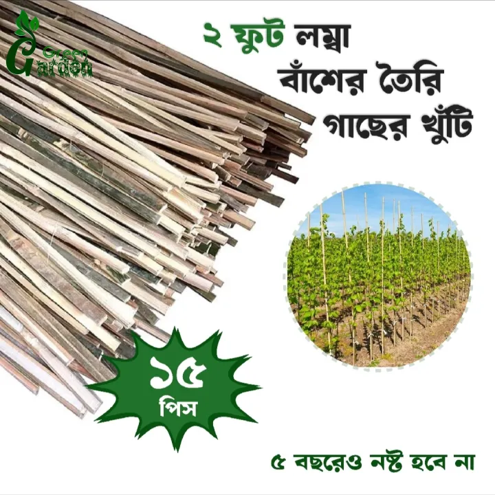 15 pieces of 2 feet long bamboo tree poles | Daraz.com.bd