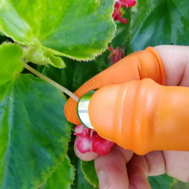 Silicone Vegetable And Fruits Thumb Cutter Finger cutter 5 in 1 | Daraz ...