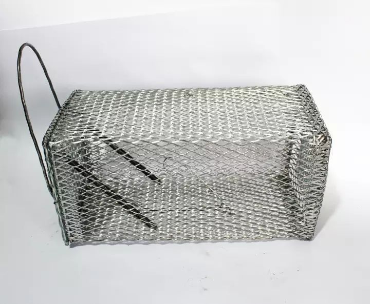 Rat Catching Trap Box | Daraz.com.bd