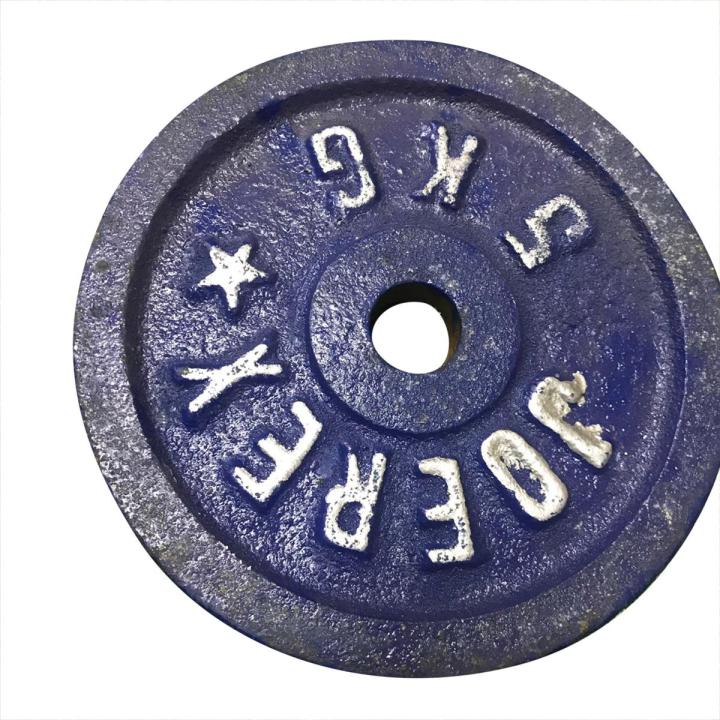 Dumbbell Plate 5Kg 1 pic | Daraz.com.bd