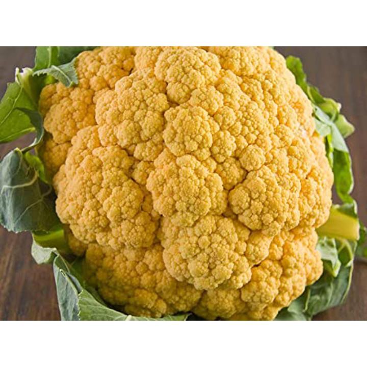 Yellow Broccoli Seeds - 20 pcS | Daraz.com.bd