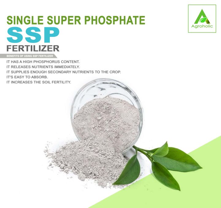 Single Super Phosphate (SSP) Fertilizer - 500 gm (imported) | Daraz.com.bd