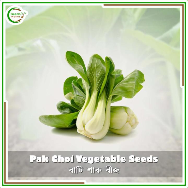 Bati sakh Vegetable Seed (Pak Choi) - 01 gm | Daraz.com.bd