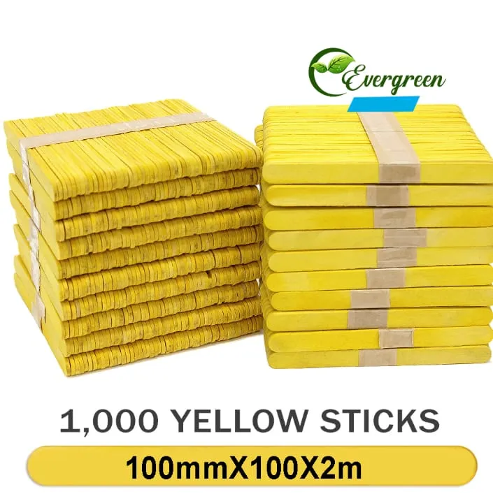 500 Sticks, Yellow Popsicle Sticks 4 Inch Wood Craft Sticks, School Bus ...