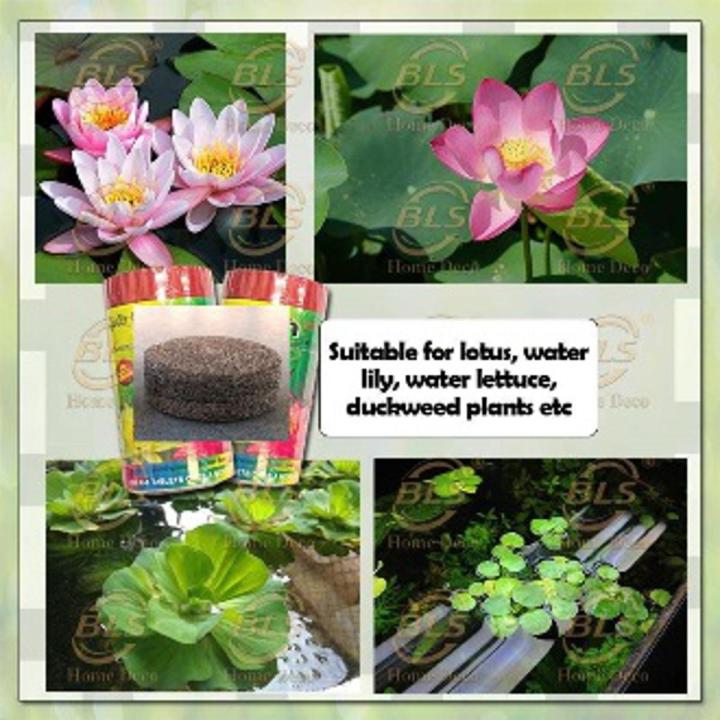 Fertilizer Tablets Lotus Water Lily Aquatic Plant Blossom Bright ...
