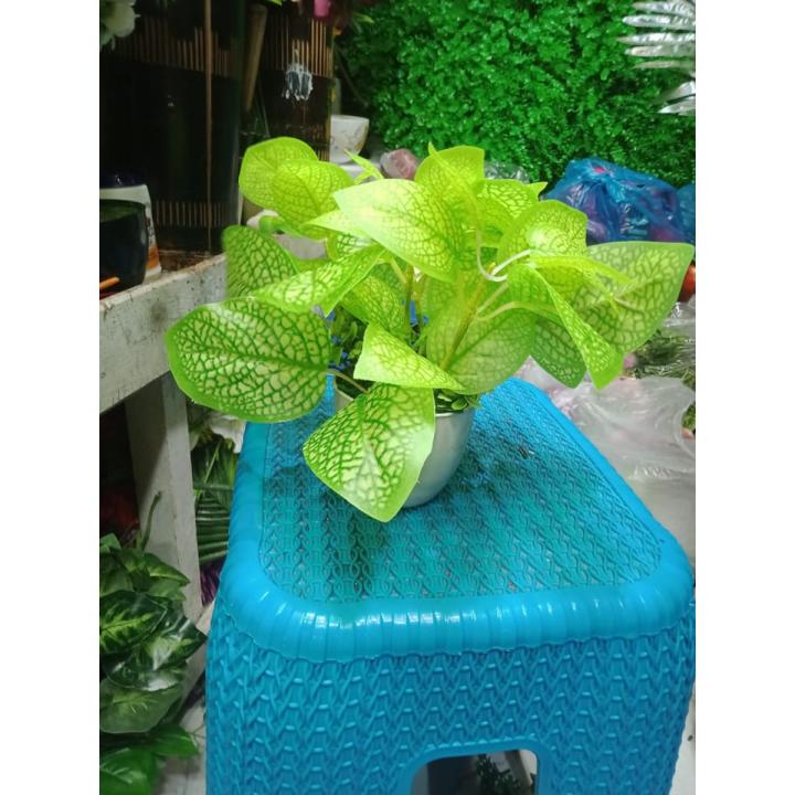 Artificial Plastic Plant Tree -9 | Daraz.com.bd