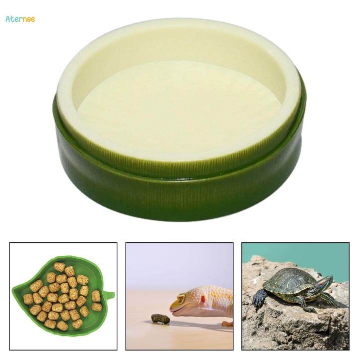 Lizards Habitat Feeding Plate Smooth Surface Reptile Water Dish Water ...