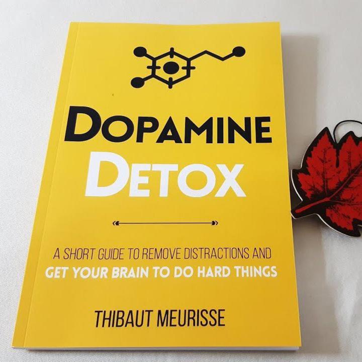 Dopamine Detox: A Short Guide to Remove Distractions and Get Your Brain ...