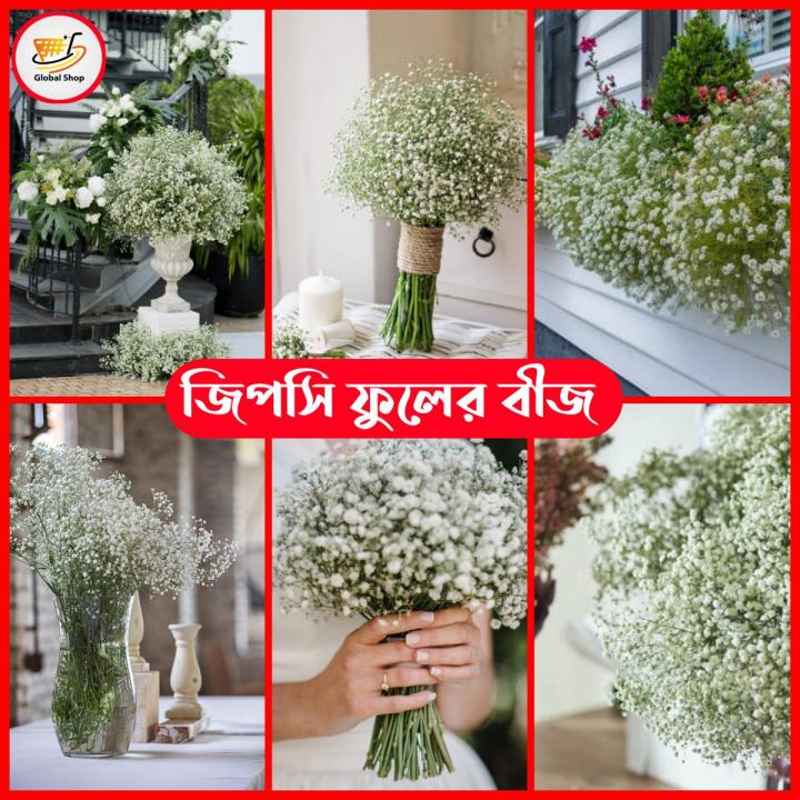 All Season Gypsy Flowers Seeds 60 Pices+ Gift | Daraz.com.bd