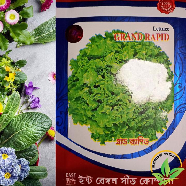 Lettuce Grand Rapid Seeds INTACT PACKET | Daraz.com.bd