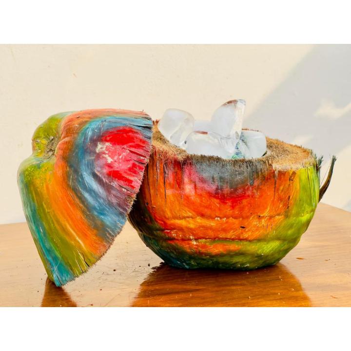 Ink Mini Coconut Ice Bucket with Lid | Daraz.com.bd