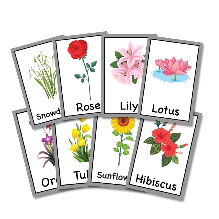 Flash Cards Flowers for Kids Early Learning | Easy & Fun Way of Early ...