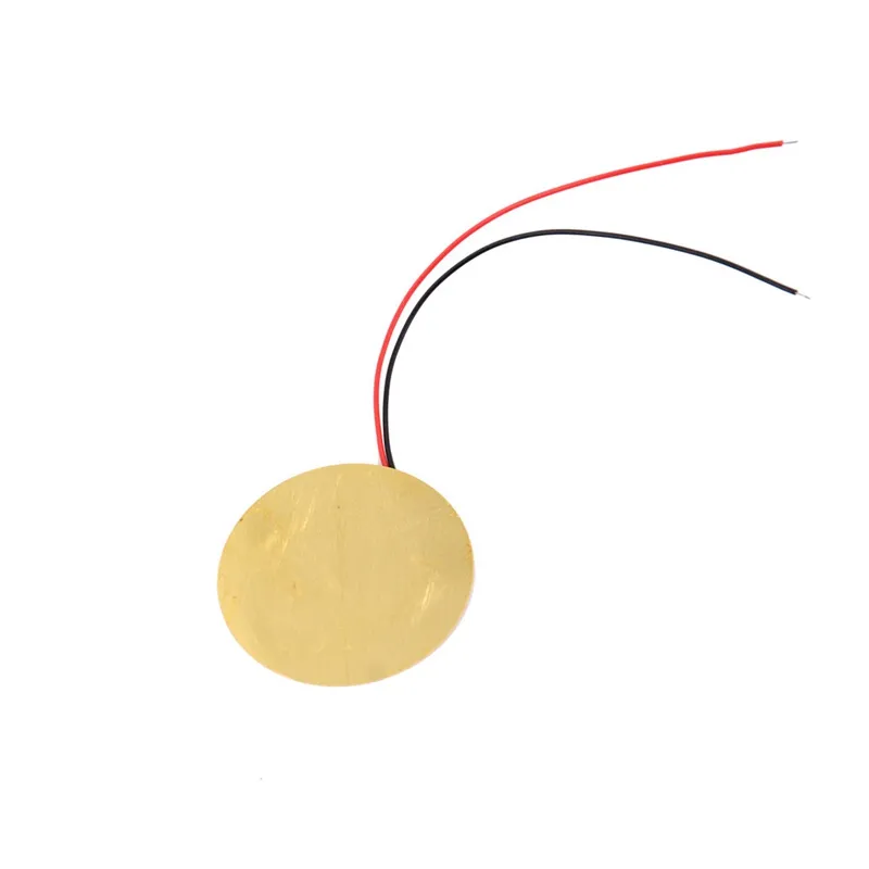 FS-10 Pcs Piezoelectric Piezo Ceramic Wafer Plate Dia 27mm for Buzzer Loudspeaker | Daraz.com.bd