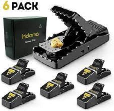 Mouse Trap Killer Humane Live Capture Mouse Trap Mouse Killer (5 X 3 X ...