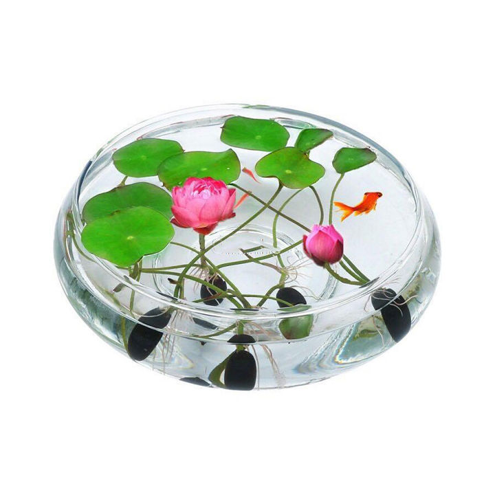 05 pcs Podmo New Plants Aquatic Plants Flower Bonsai Pot Lotus Water ...