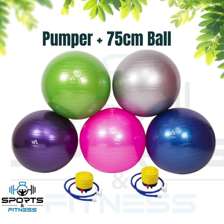 Chinese 75cm Plain Yoga Ball / Gym Ball with Pumper Multicolor - Sports ...