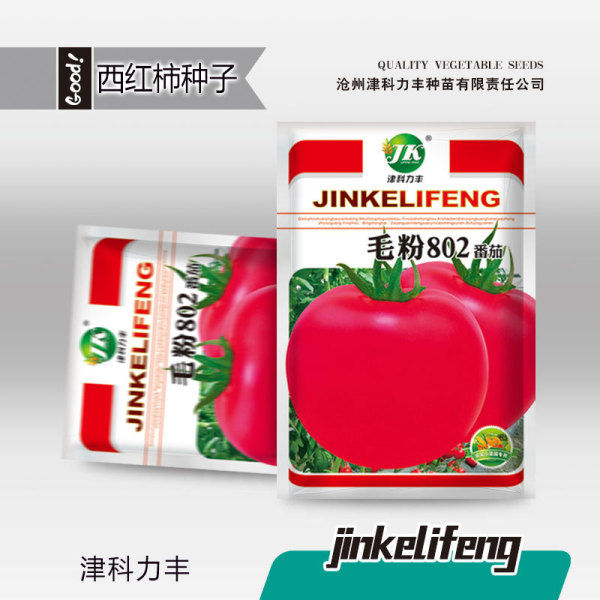 tomato seed green intact packet 5 gm imported chinese seeds | Daraz.com.bd