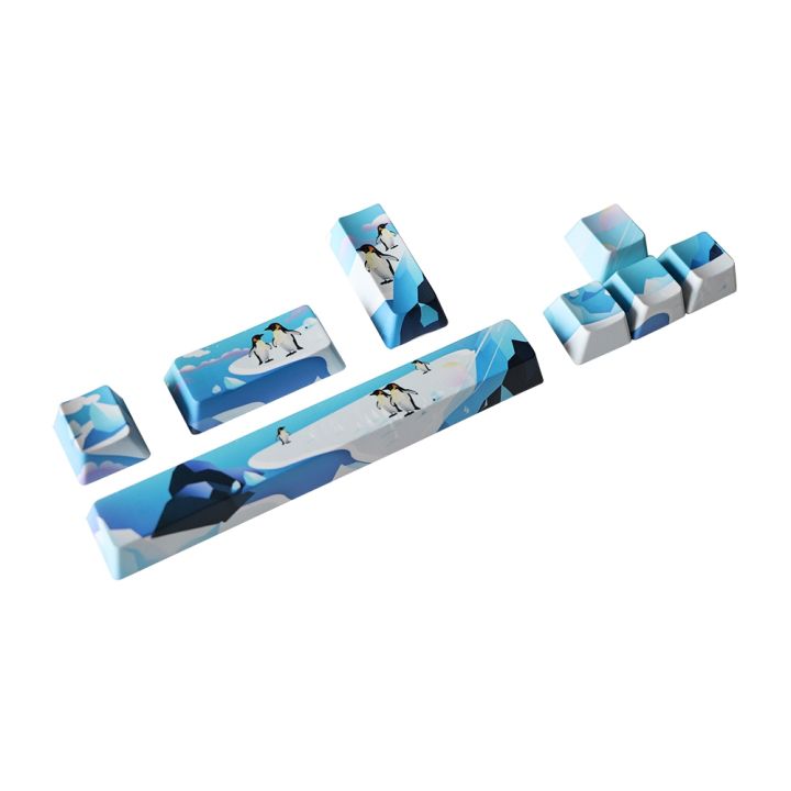 PBT Five Side Dye-Subbed Keycaps 6.25 Space Bar ESC Entre Direction ...