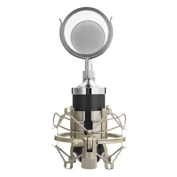 BM-3000 Dynamic Condenser Record and Broadcasting Microphone with Shock ...