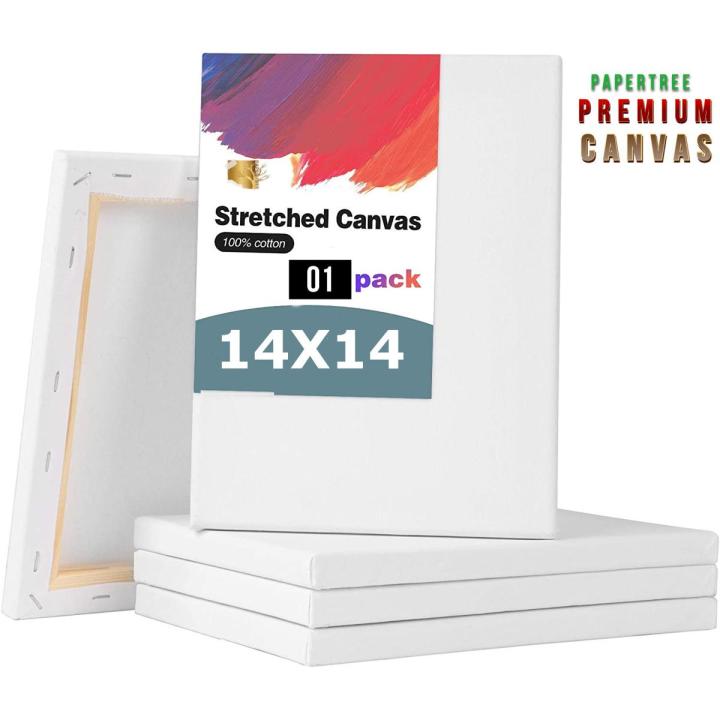 White Premium Canvas 14x14 inch | Daraz.com.bd