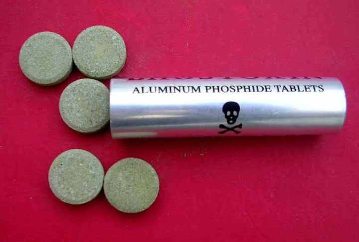 Aluminum Phosphide Tablet | Daraz.com.bd
