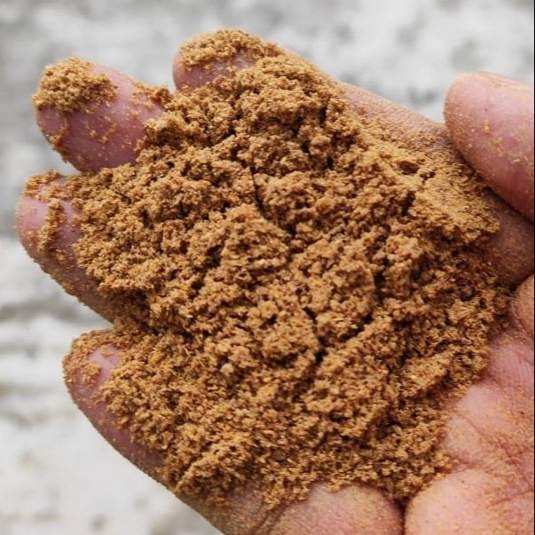 Aquarium Fish Foods - 100 gm Highly Nutritious | Daraz.com.bd