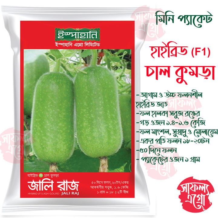 Hybrid F1 Chalkumra Seeds (Ash Gourd) -Mini Pack | Daraz.com.bd