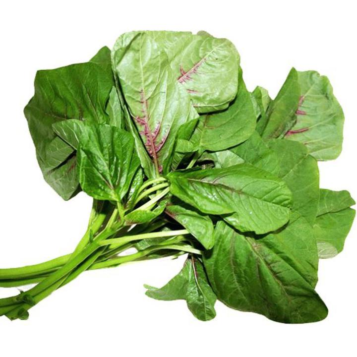 Green Data Shak 0.1 gm Intact Packet | Daraz.com.bd