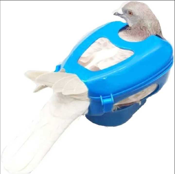 Pigeon Lock Holder For Feeding Pigeon Holder For All Type Pigeon ...