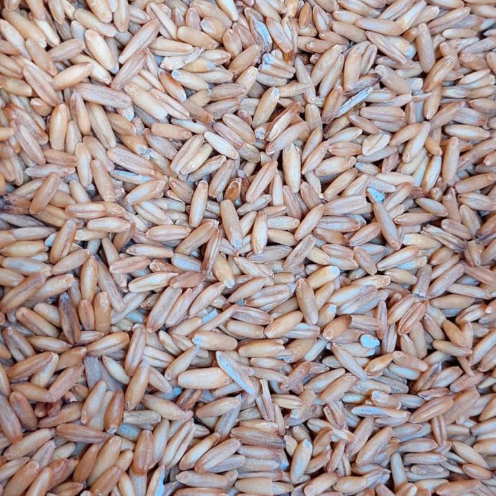 Bird Food Oats -500g For Birds | Daraz.com.bd